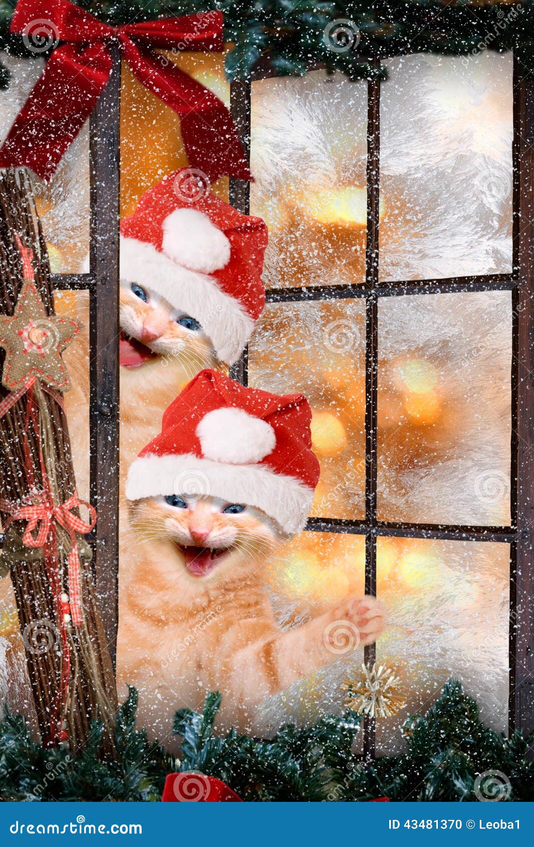 Two Cats with Santa Caps Laughing Stock Photo - Image of tabby, wave ...