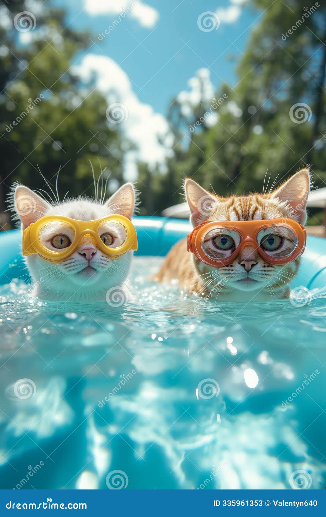 Two Cats Wearing Goggles in a Swimming Pool Stock Image - Image of ...
