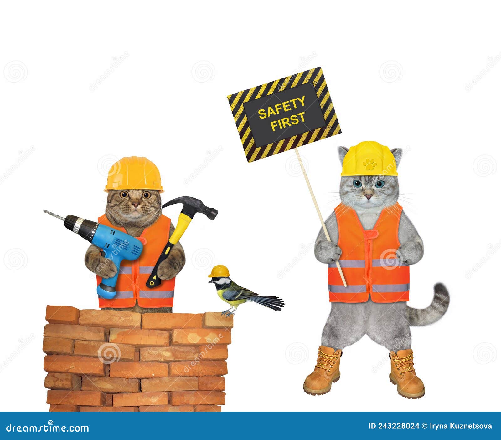Two Cats with Poster Safety First 2 Stock Photo - Image of humor, beige ...