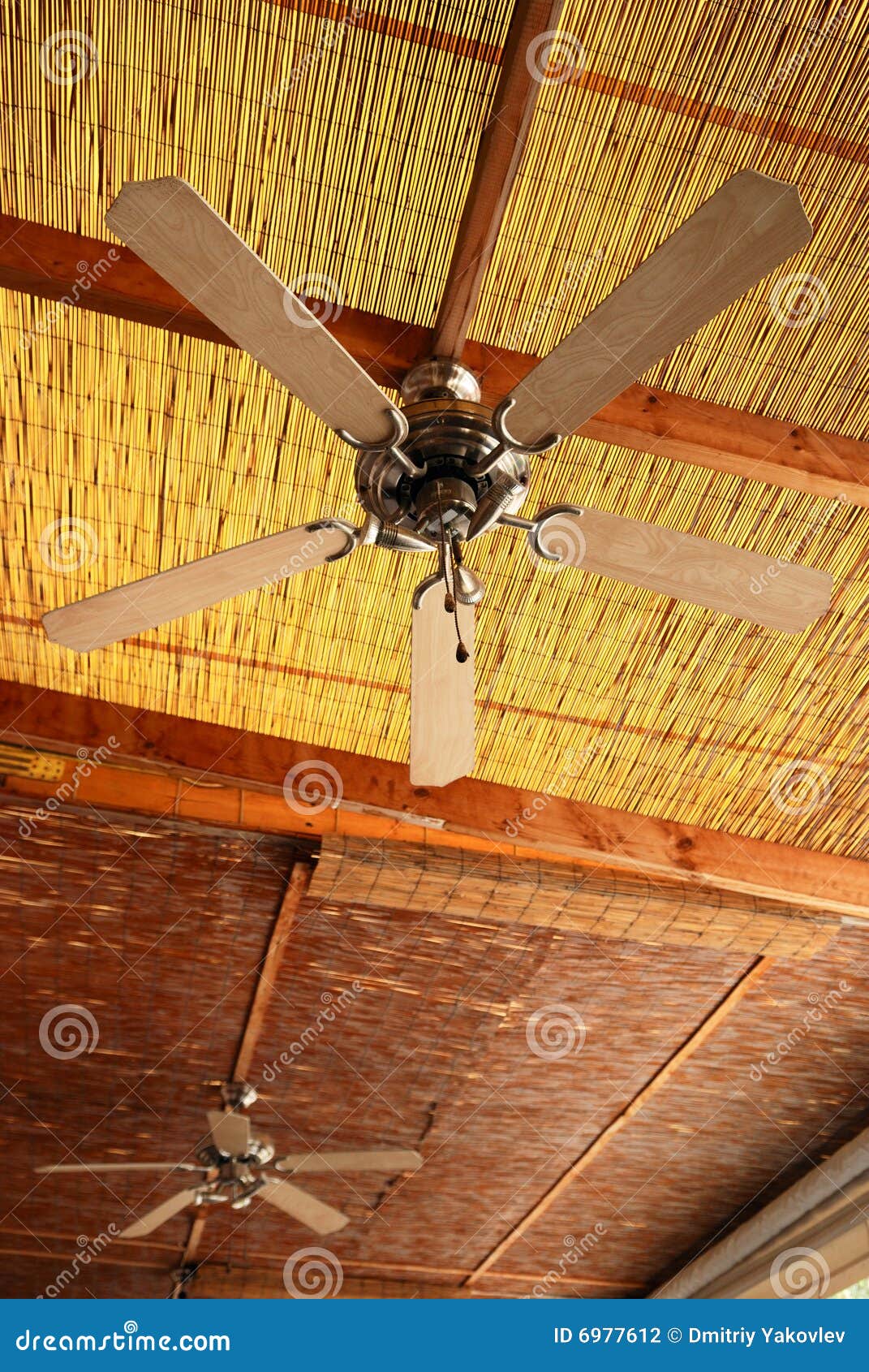 201 Reed Ceiling Stock Photos - Free & Royalty-Free Stock Photos from ...