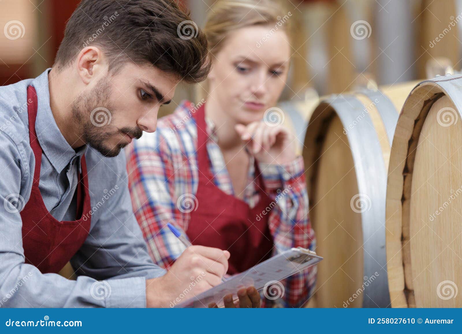 Two Cellar Colleagues with Clipboard Stock Photo - Image of male ...