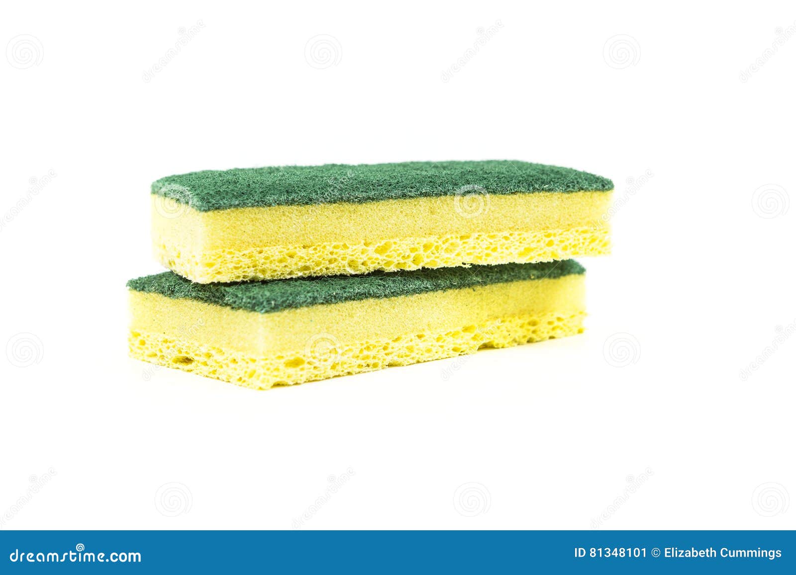 Two cellulose sponges stock image. Image of sponge, bacteria - 81348101