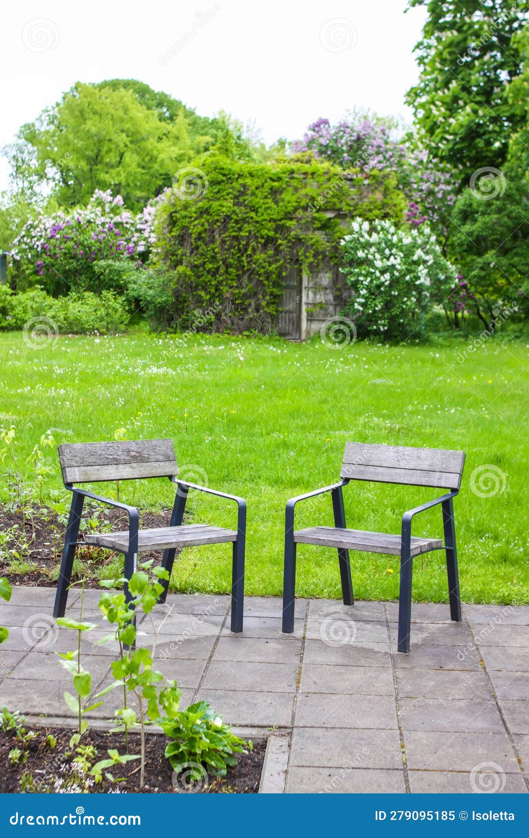 Two Chairs in Rest Zone in the Park Stock Image - Image of green ...
