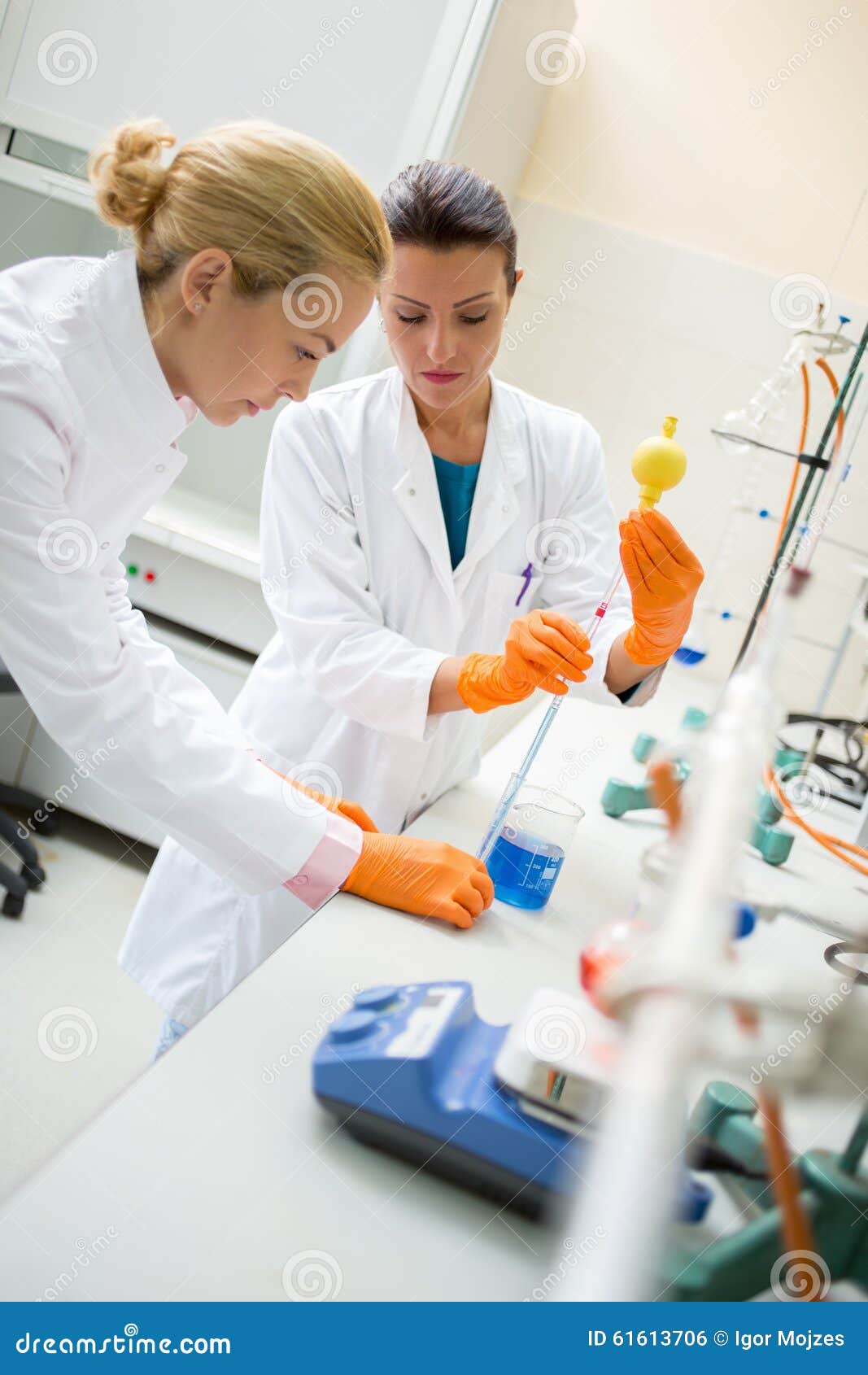 Two Chemical Technician Place Liquid with Lab Pipette Stock Photo ...