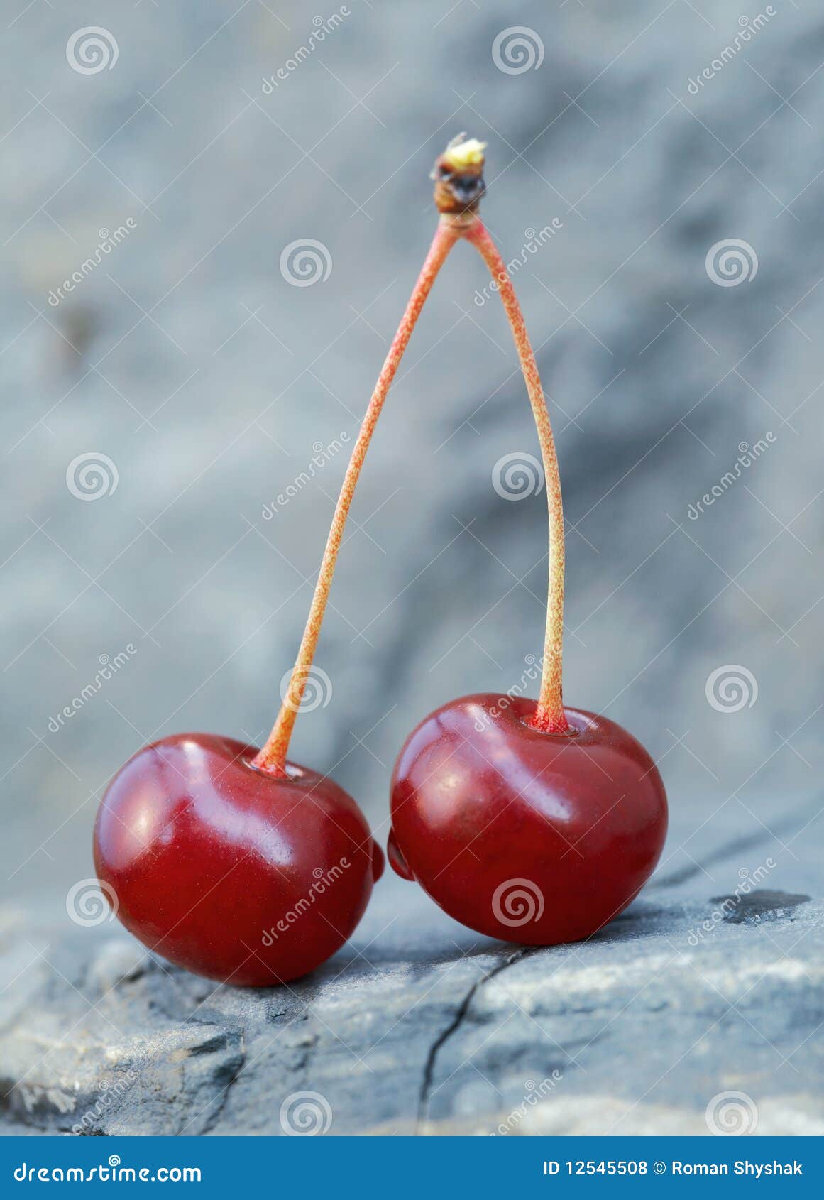 Two Cherries. stock photo. Image of food, natural, cherry - 12545508