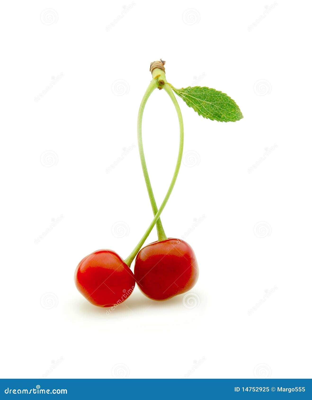 Two Cherries stock image. Image of drink, organic, life - 14752925