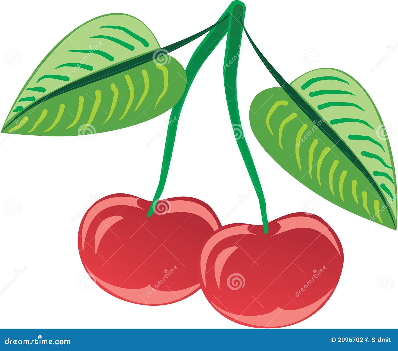 Two cherries stock vector. Illustration of diet, healthy - 2096702