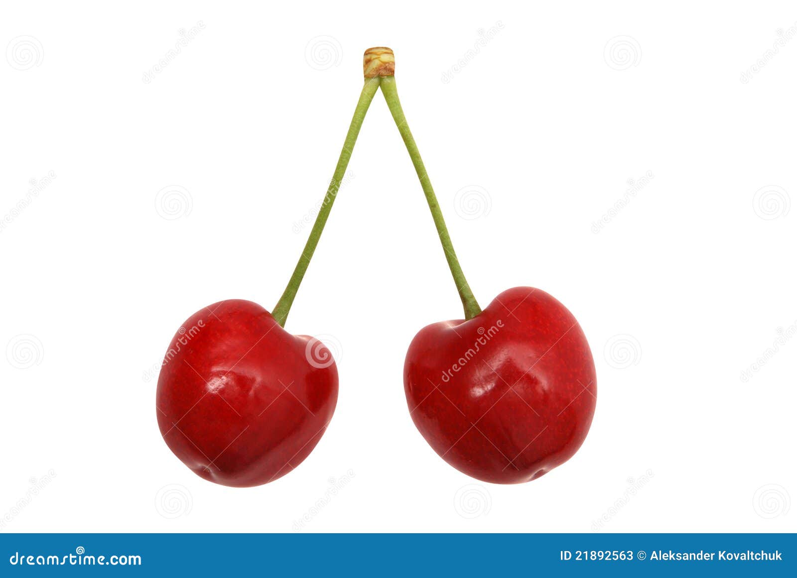 Two cherries stock image. Image of edible, kirsche, ripe - 21892563
