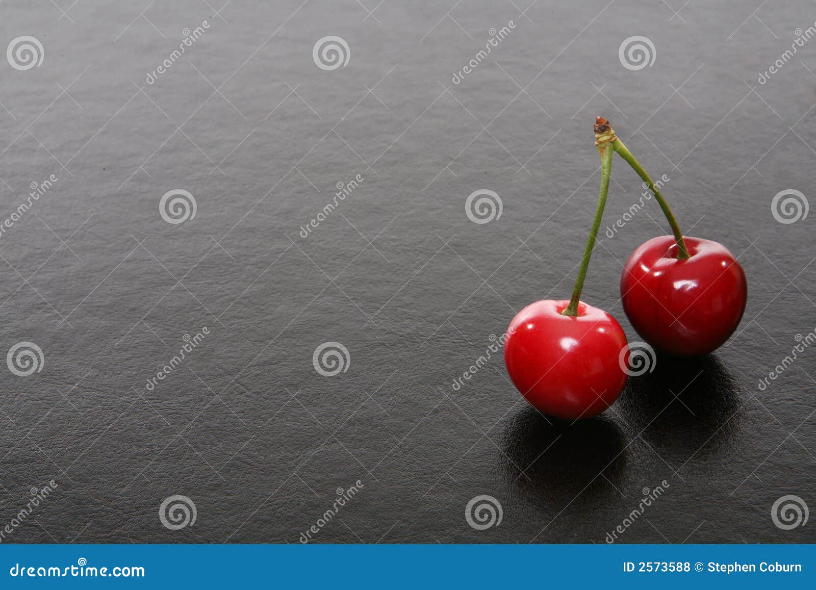 Two Cherries stock photo. Image of shiny, nutrition, shape - 2573588