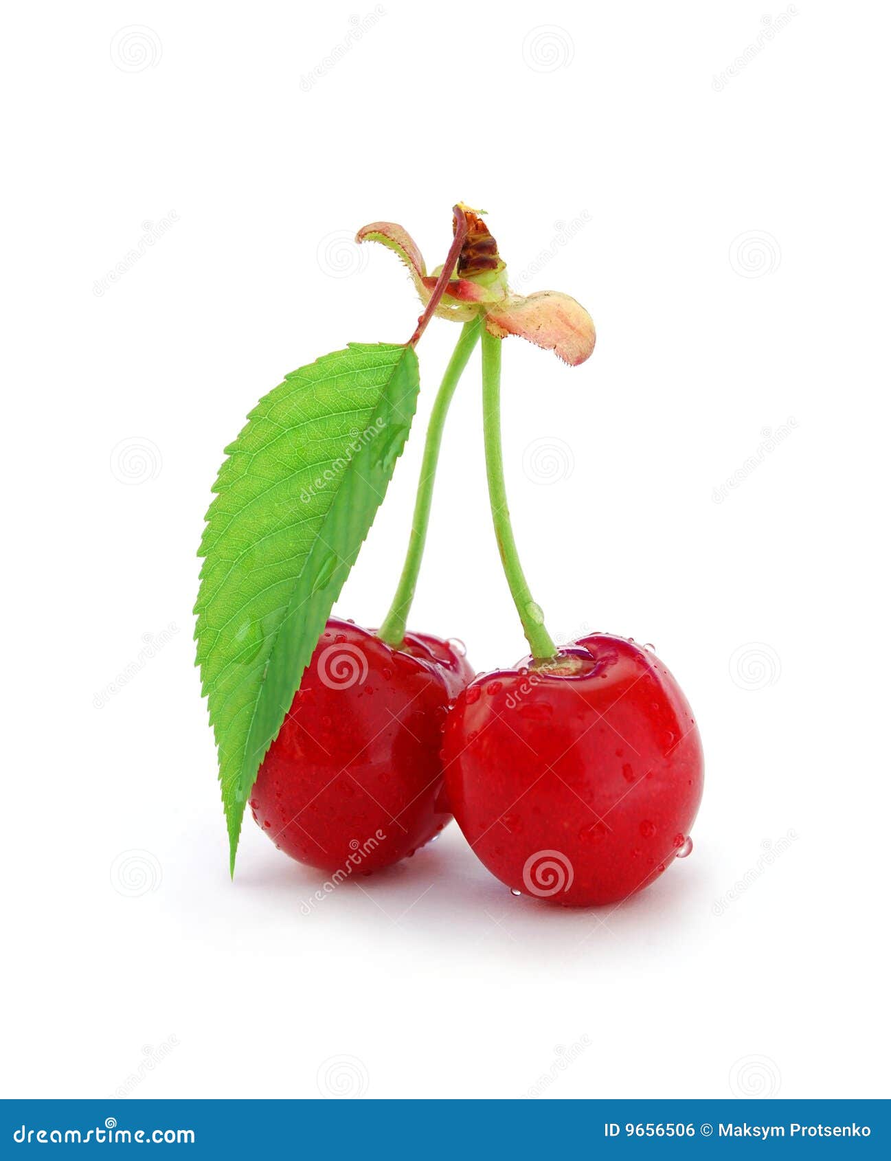 Two cherries stock photo. Image of agriculture, nature - 9656506