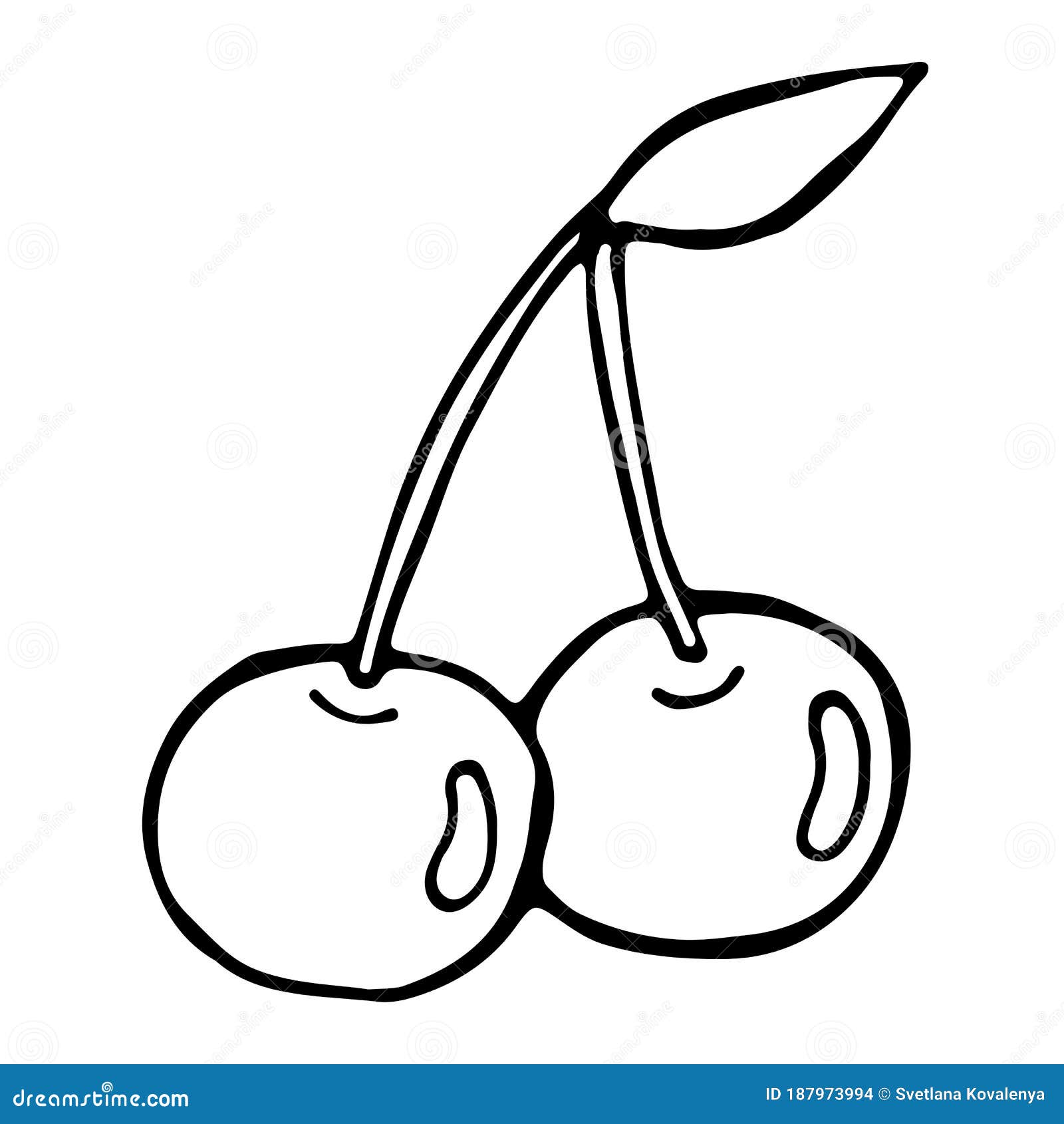 Two Cherries on a Branch with a Leaf Stock Vector - Illustration of ...