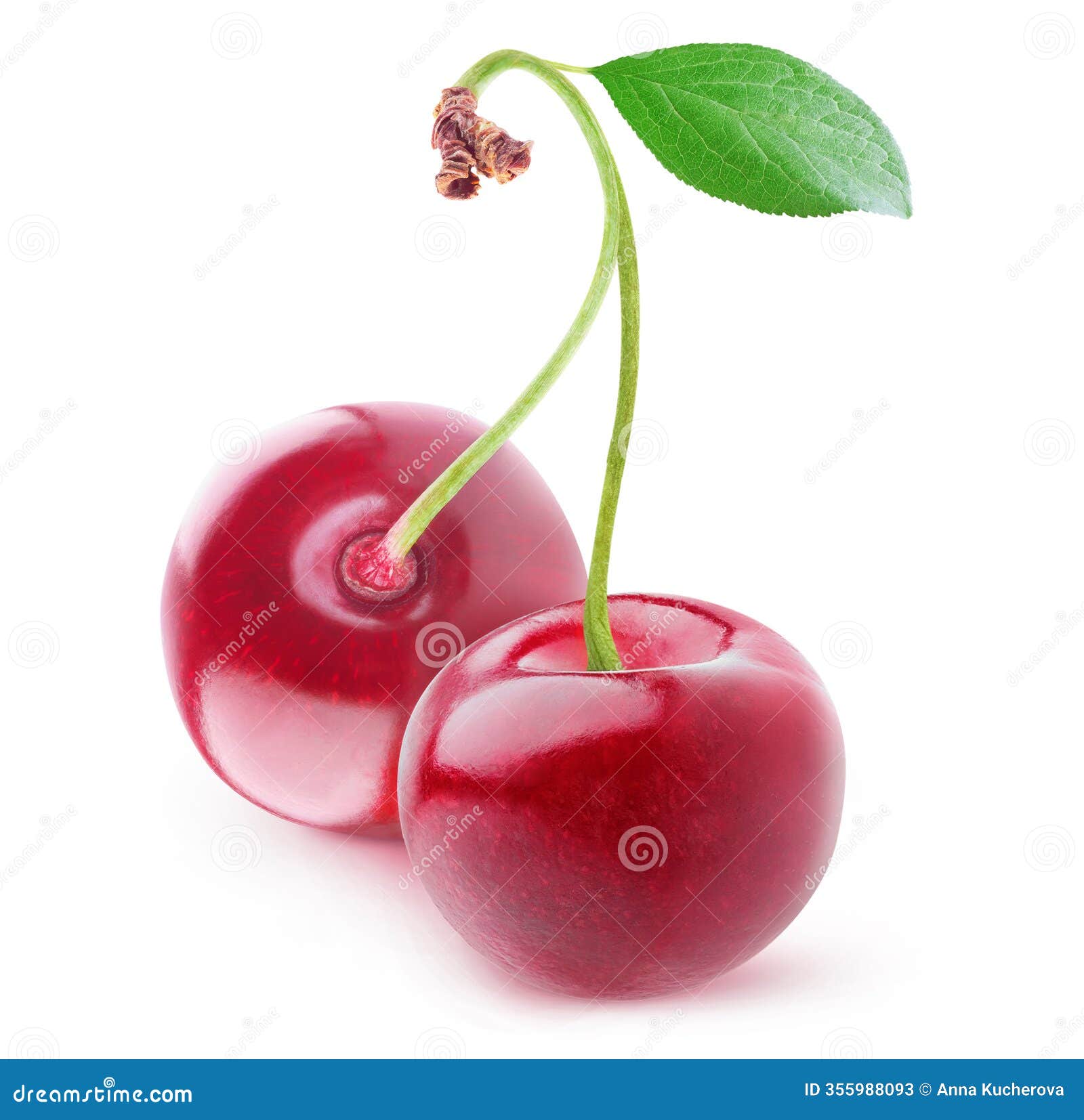 Curved Stem Flower With A Drooping Head In A Grunge Halftone Style ...