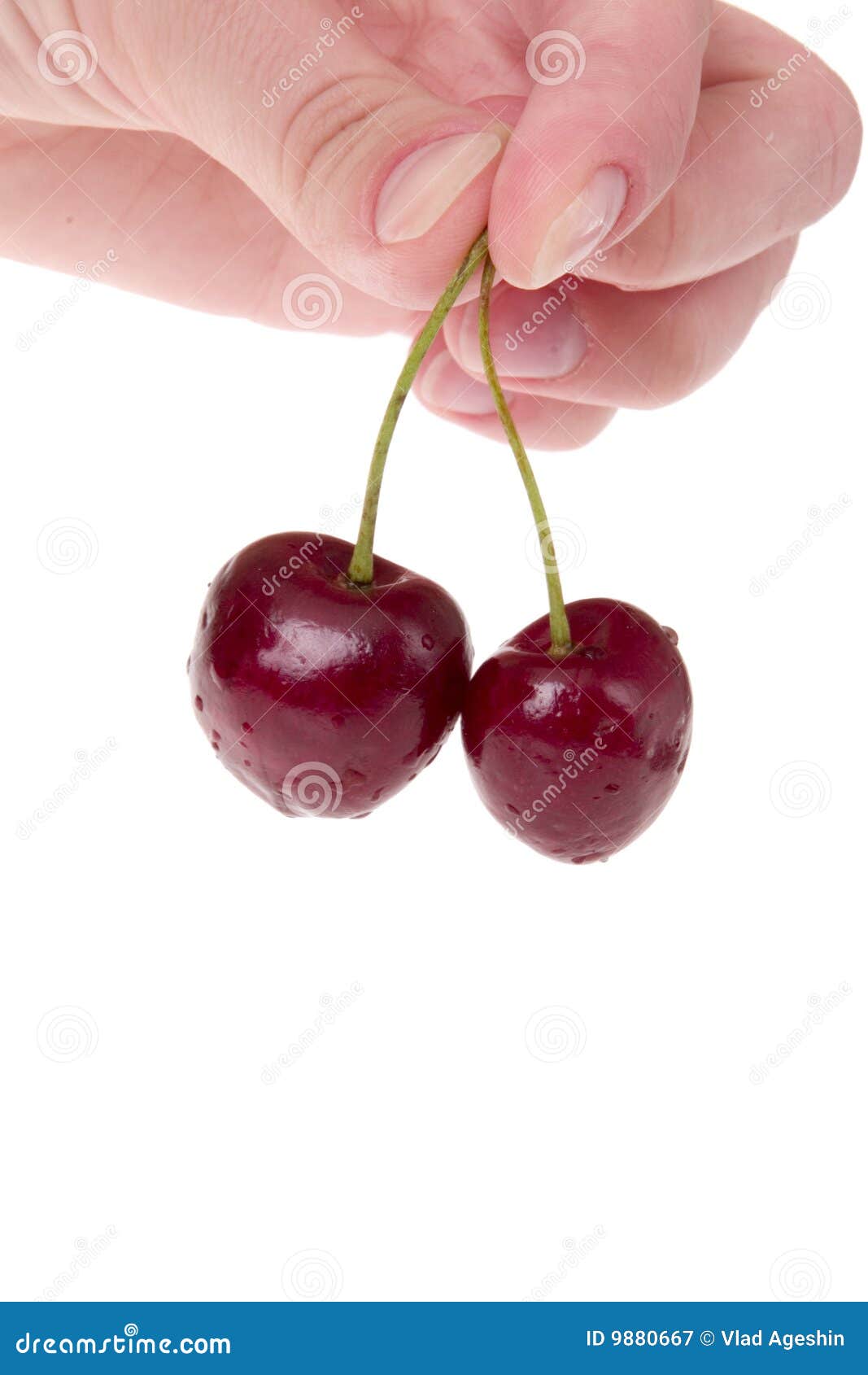 Two cherries in hand stock image. Image of freshness, ripe - 9880667