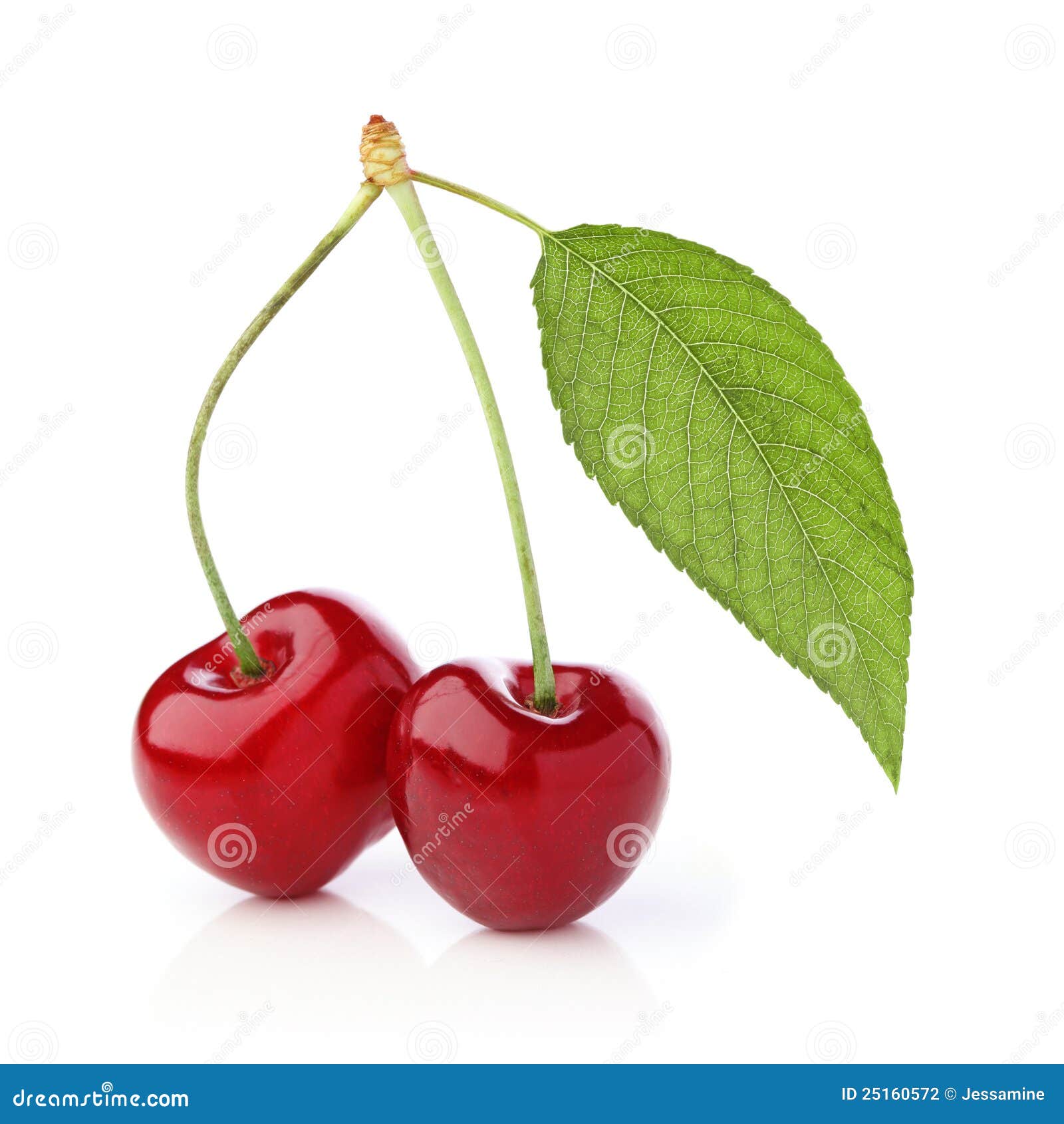 Two cherries with leaf stock photo. Image of juicy, dessert - 25160572