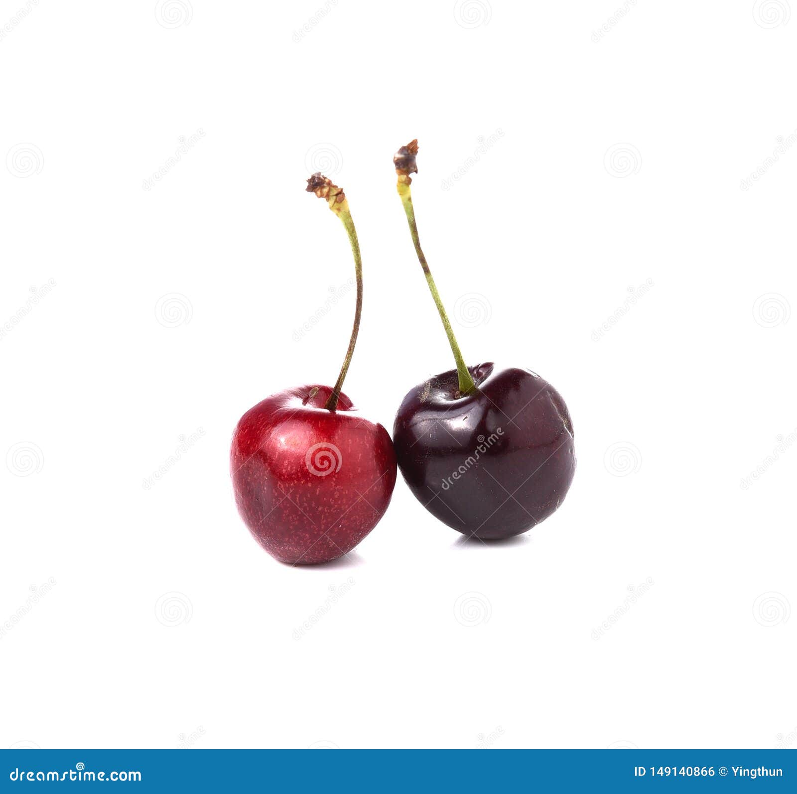 Two Cherries Isolated on White Background Stock Photo - Image of ...