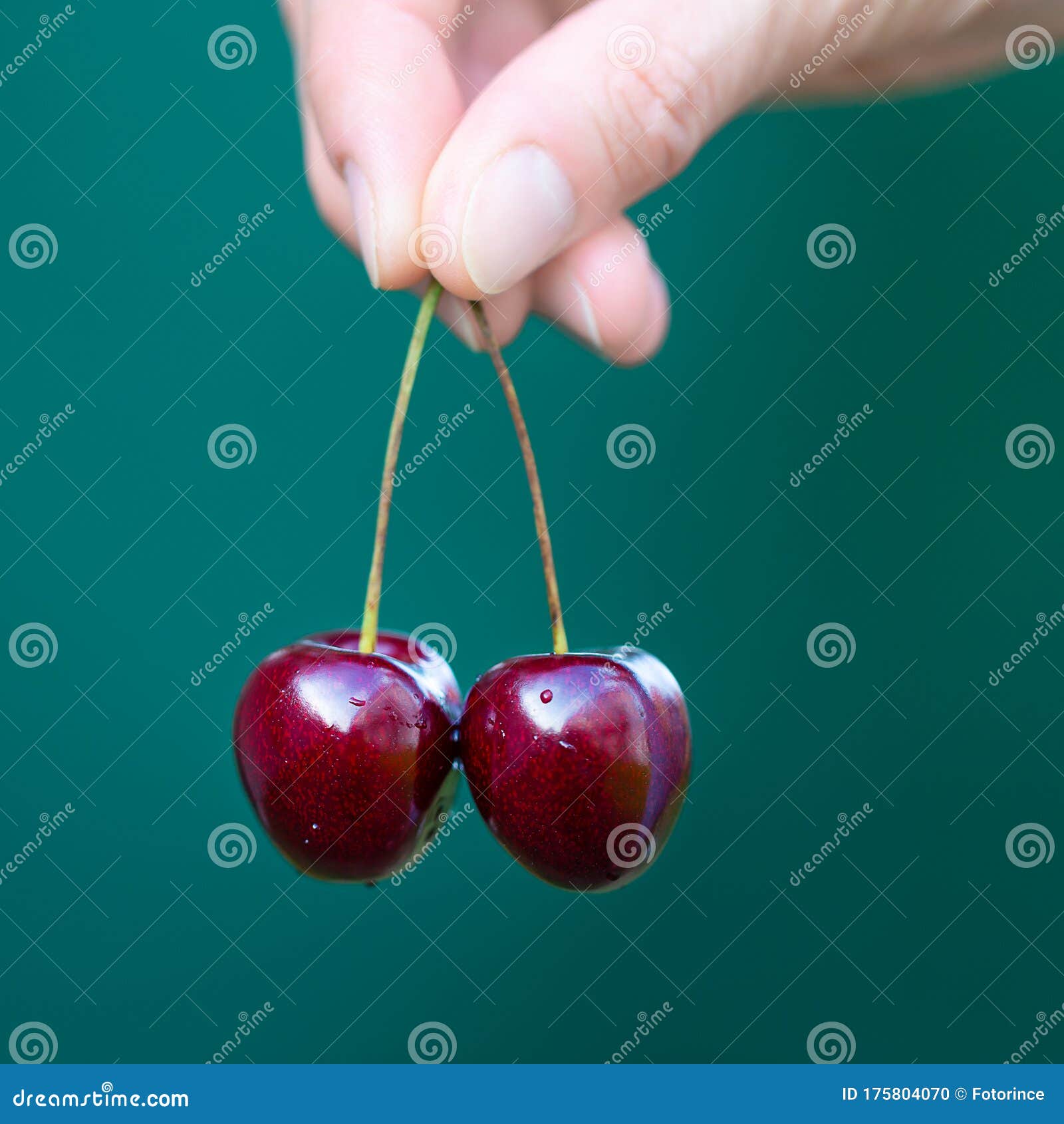 Two Cherries stock photo. Image of diet, female, cherry - 175804070