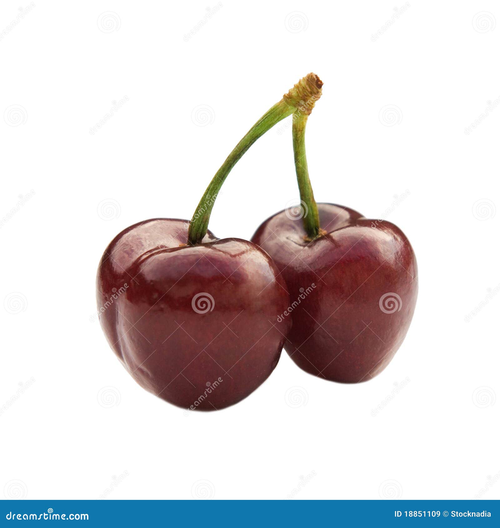 Two cherry stock image. Image of organic, fruit, macro - 18851109