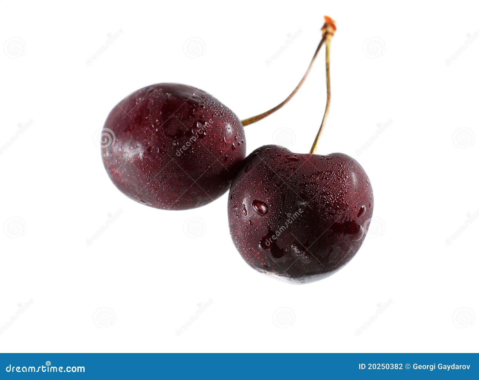 Two cherry stock photo. Image of drops, objects, organic - 20250382