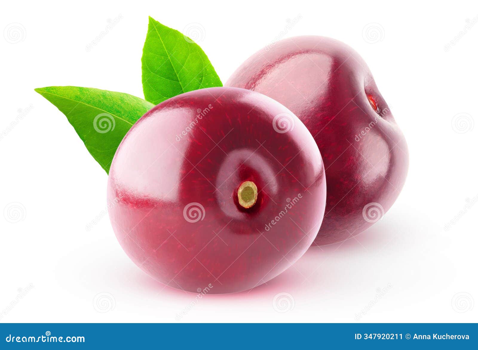 Two Cherry Fruits Isolated on White Background Stock Image - Image of ...