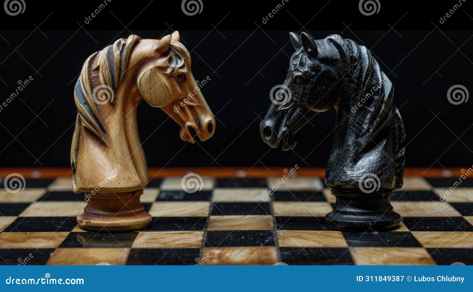 Two Chess Knights Face Each Other In A Tense Moment On The Chessboard ...