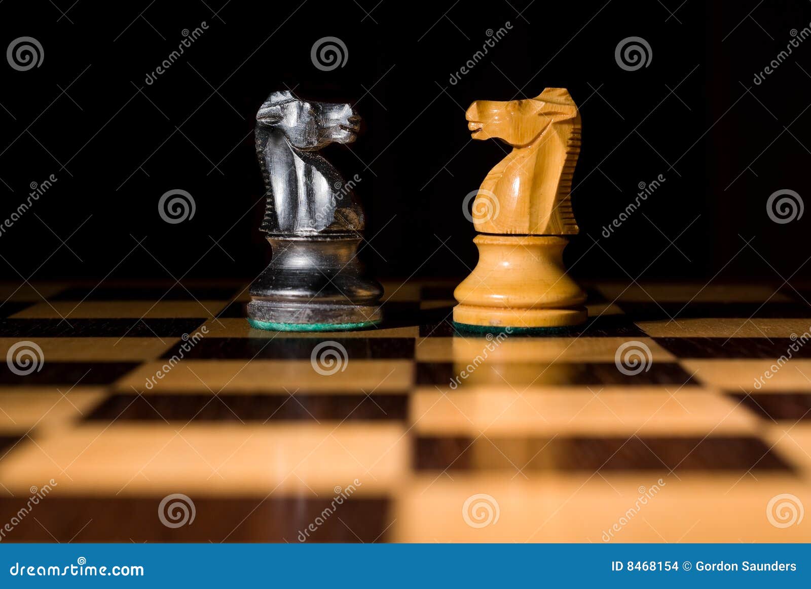 Two Chess Knights Fight on Chessboard Stock Photo - Image of white ...