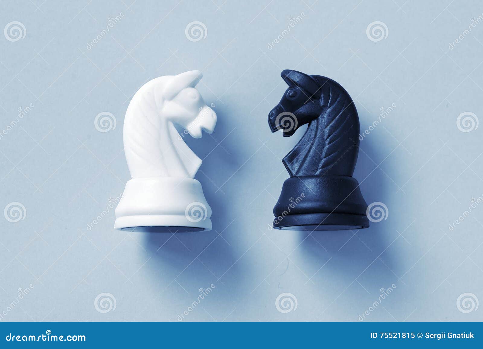 Two of Chess Knights on a Light Blue Background Stock Image - Image of ...