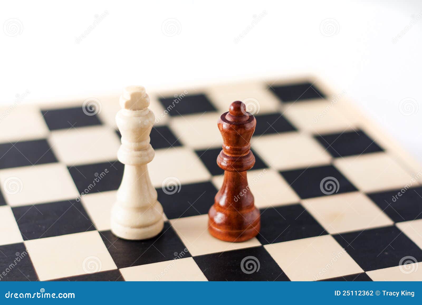 Two Chess Pieces on the Chess Board. Stock Photo - Image of interacial ...