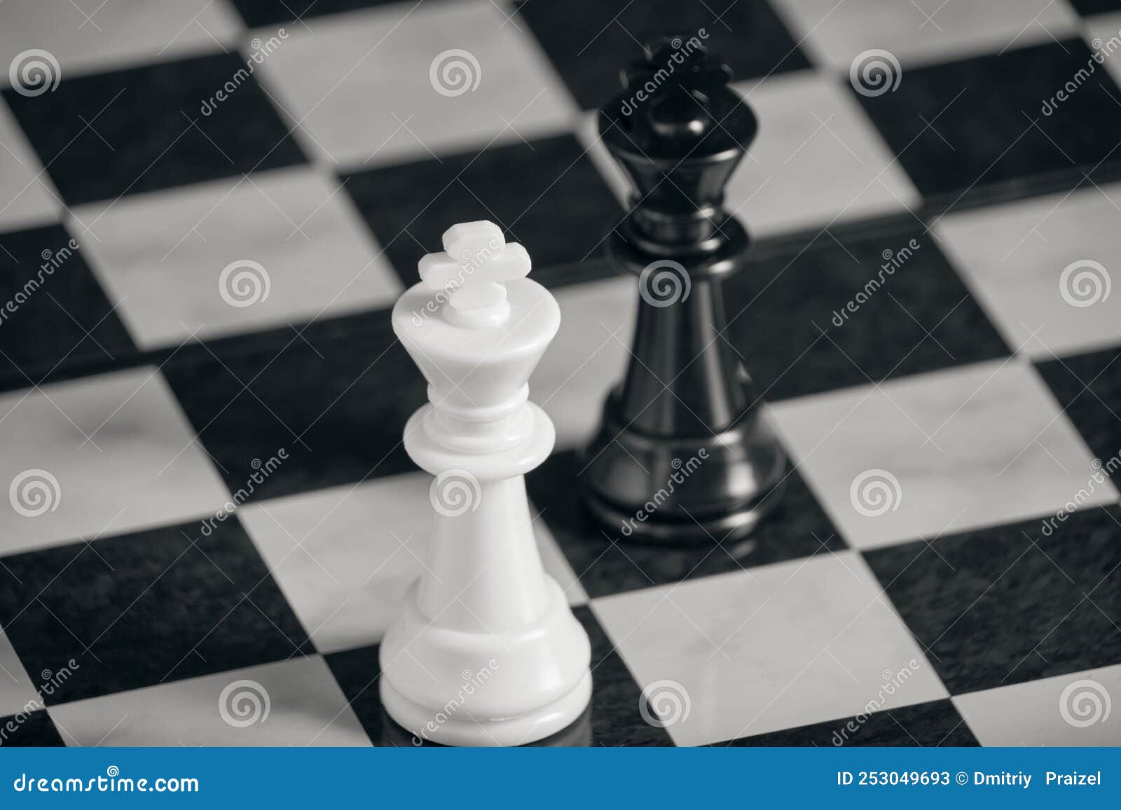 Two Chess Pieces, Two Kings on Chess Board Stock Image - Image of white ...