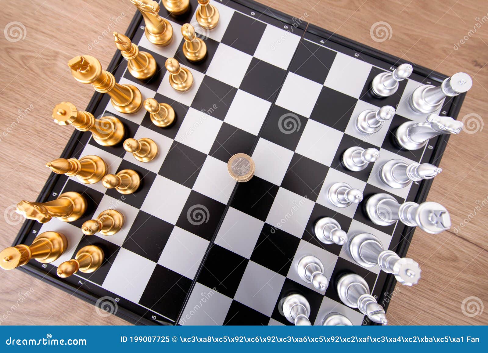 The Two Chess Pieces Placed on the Chess Board and the Euro Coin in the ...