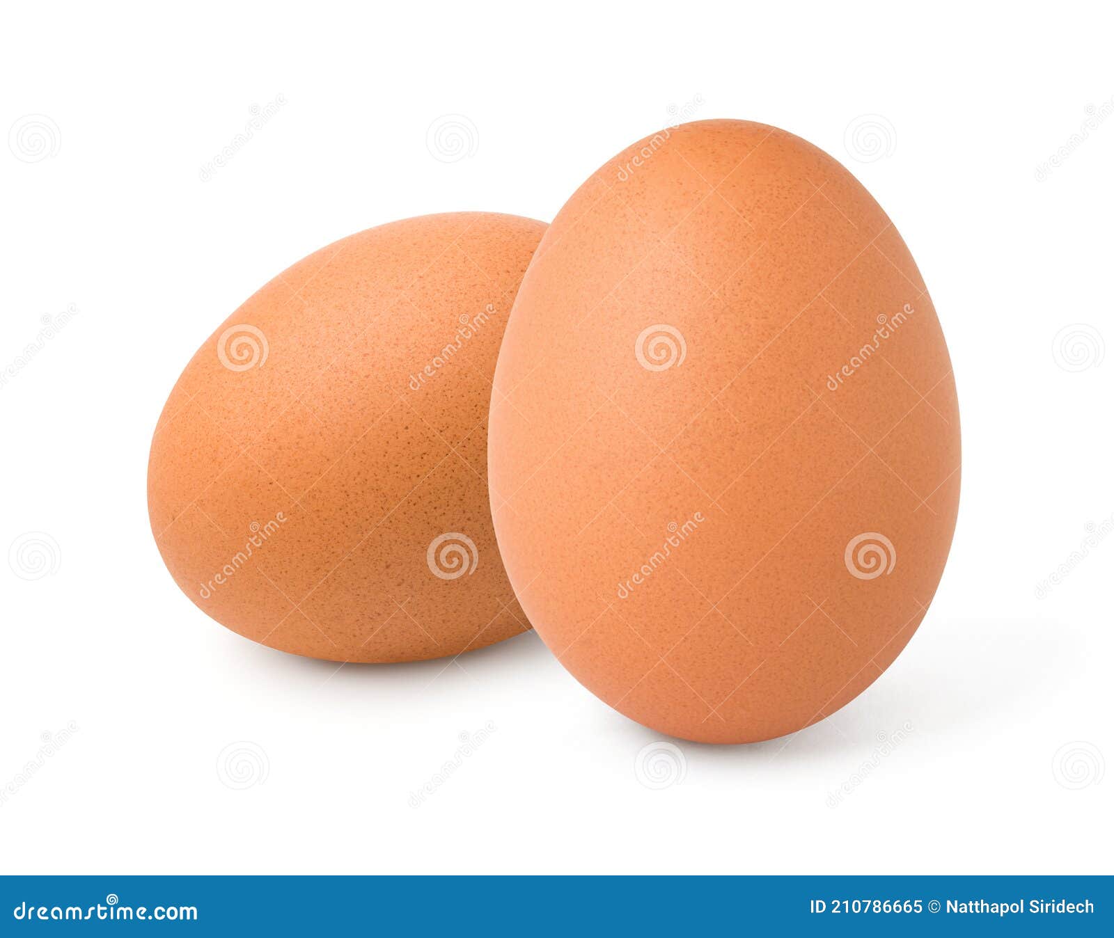 Two Chicken Eggs Isolated on the White Background Stock Image - Image ...