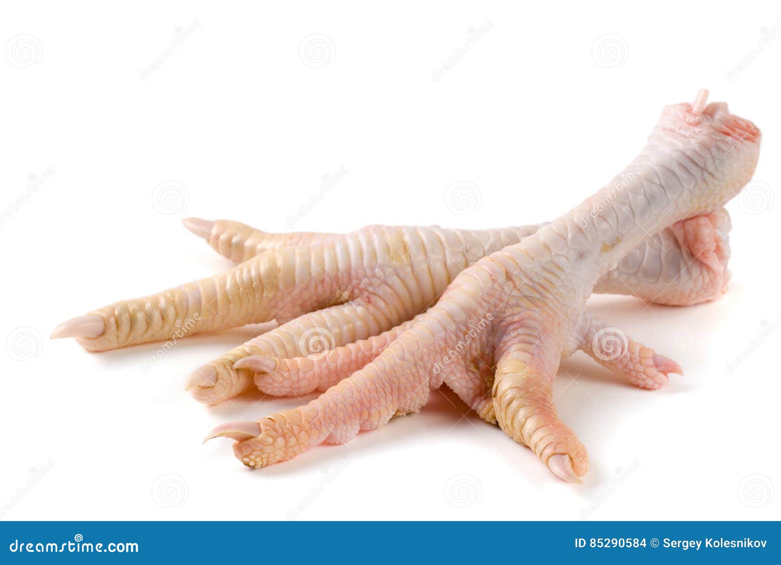 Two Chicken Feet on White Background Stock Photo - Image of pale ...
