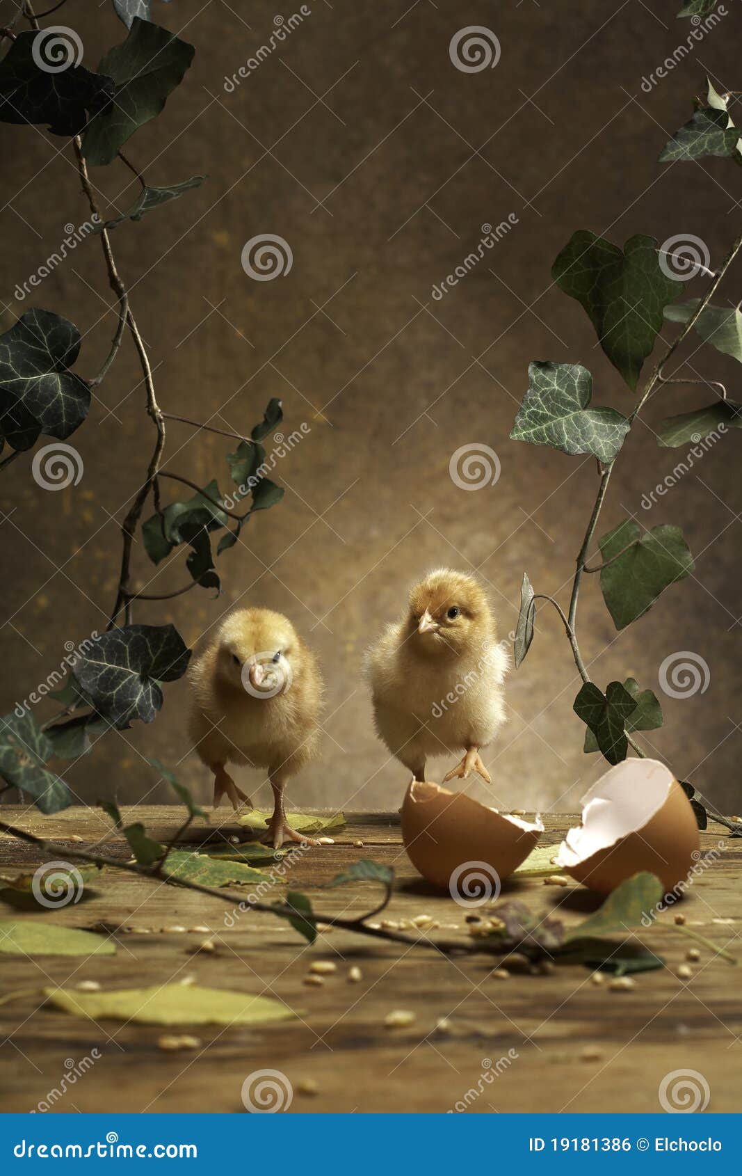 Two chicken on the table stock photo. Image of leaf, table - 19181386