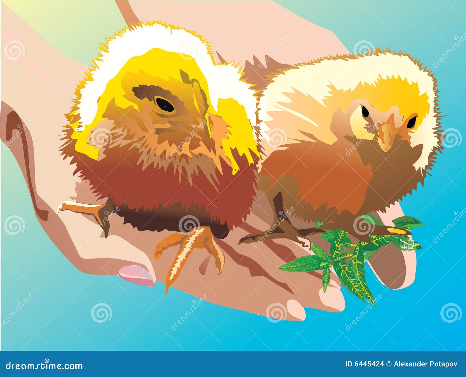 Two Chickens on Woman Hands Stock Illustration - Illustration of ...