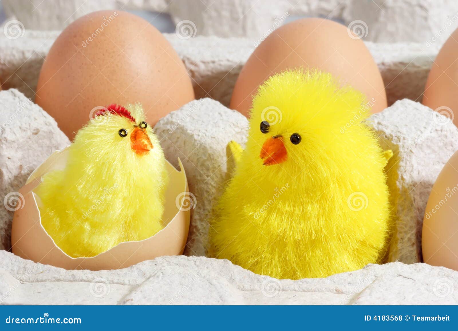 Two Chicks stock photo. Image of chick, yolk, cook, sustenance - 4183568