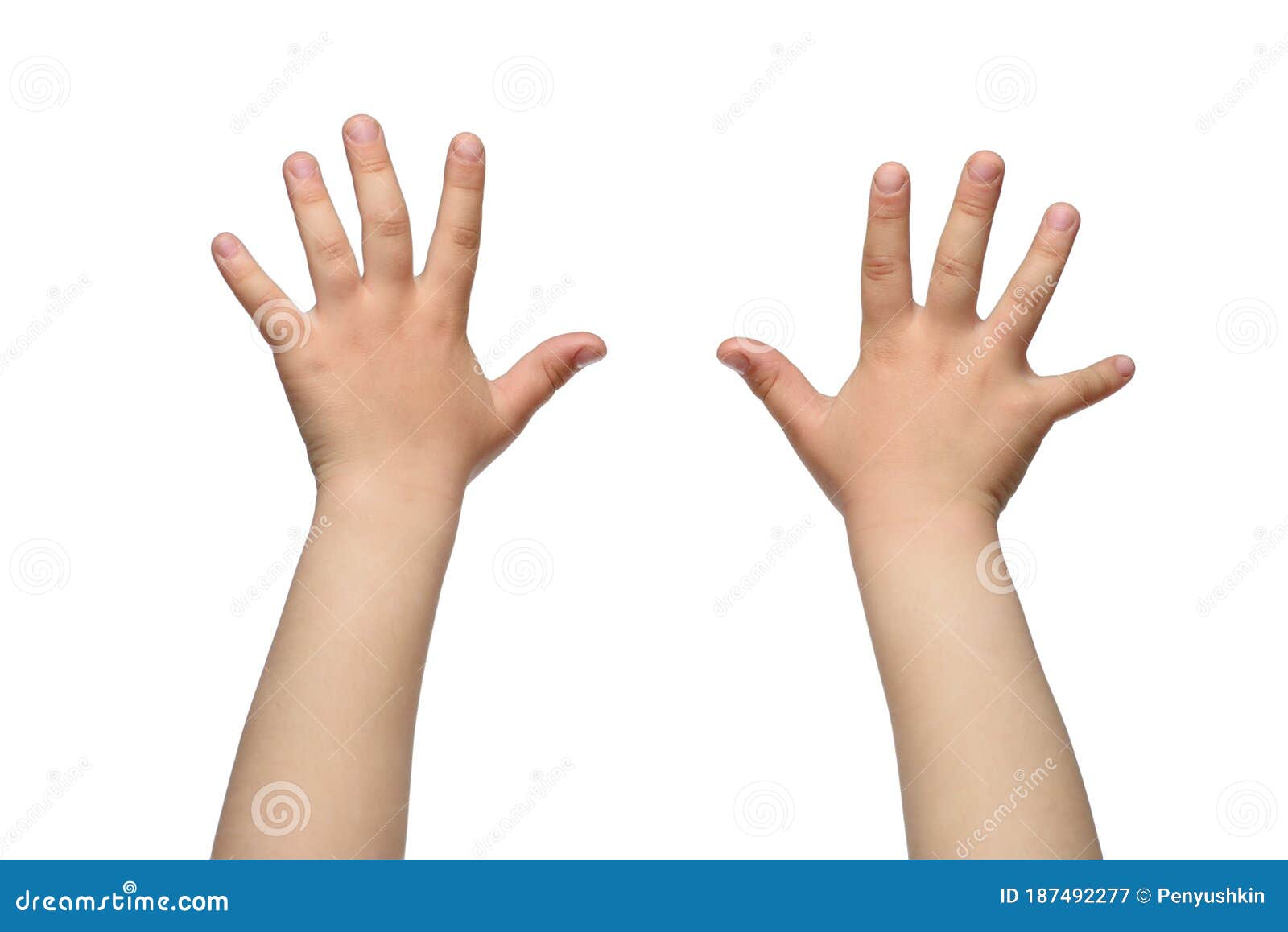 Two Child Hands. Isolated on White Stock Image - Image of child ...