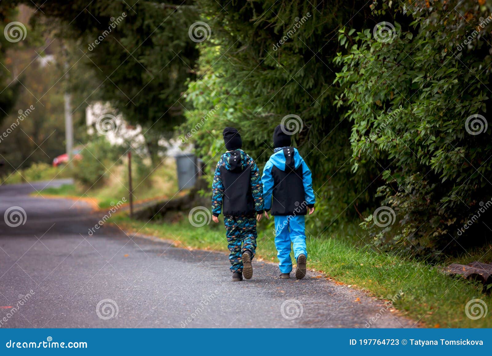 Two Children, Brothers, Walking on a Path in a Park Autumn Day Stock ...