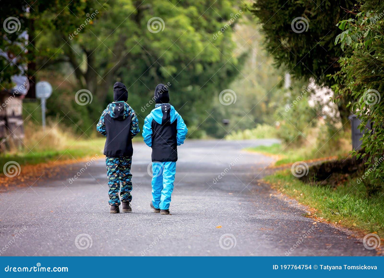Two Children, Brothers, Walking on a Path in a Park Autumn Day Stock ...