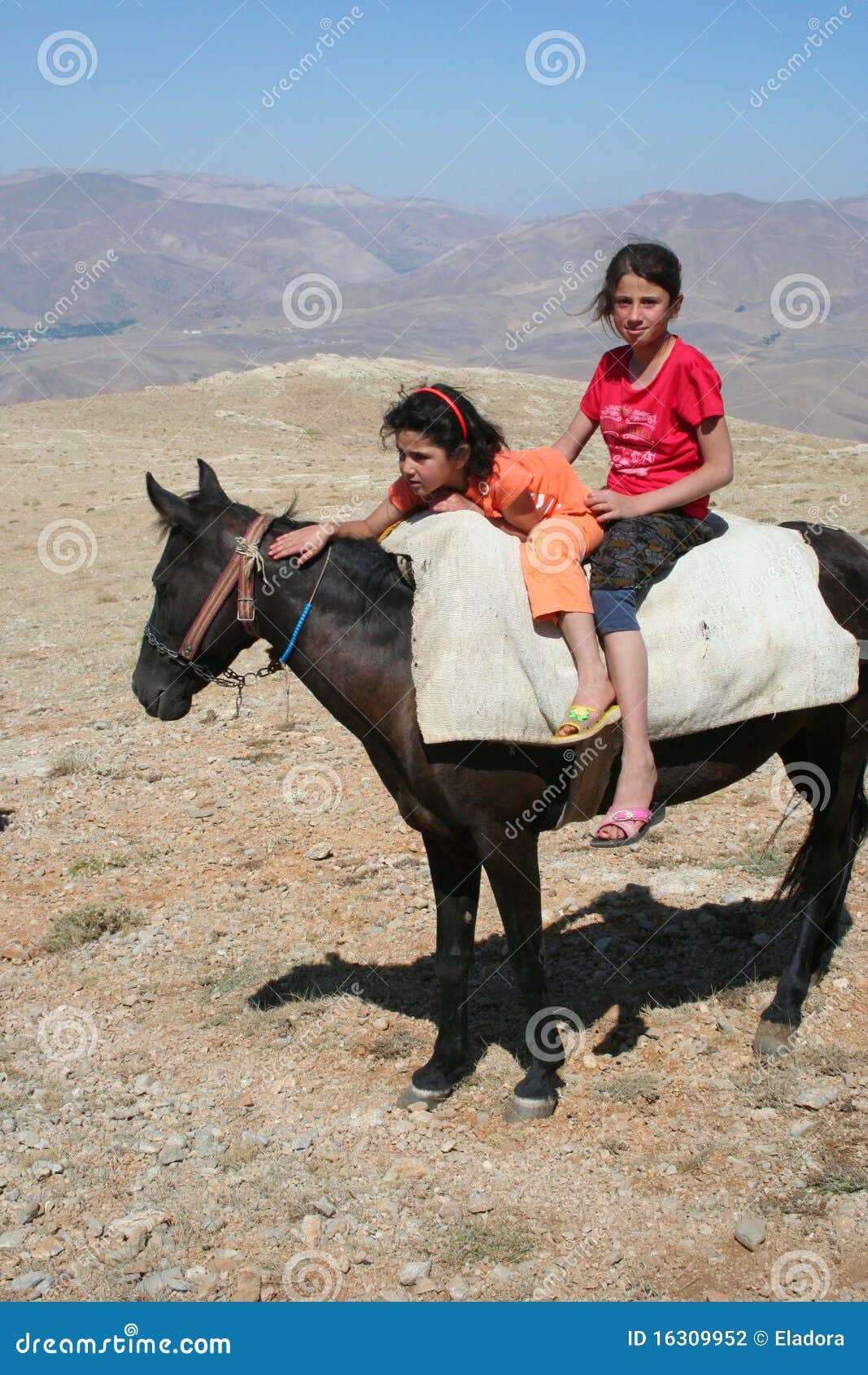 Two children on donkey stock photo. Image of freedom - 16309952