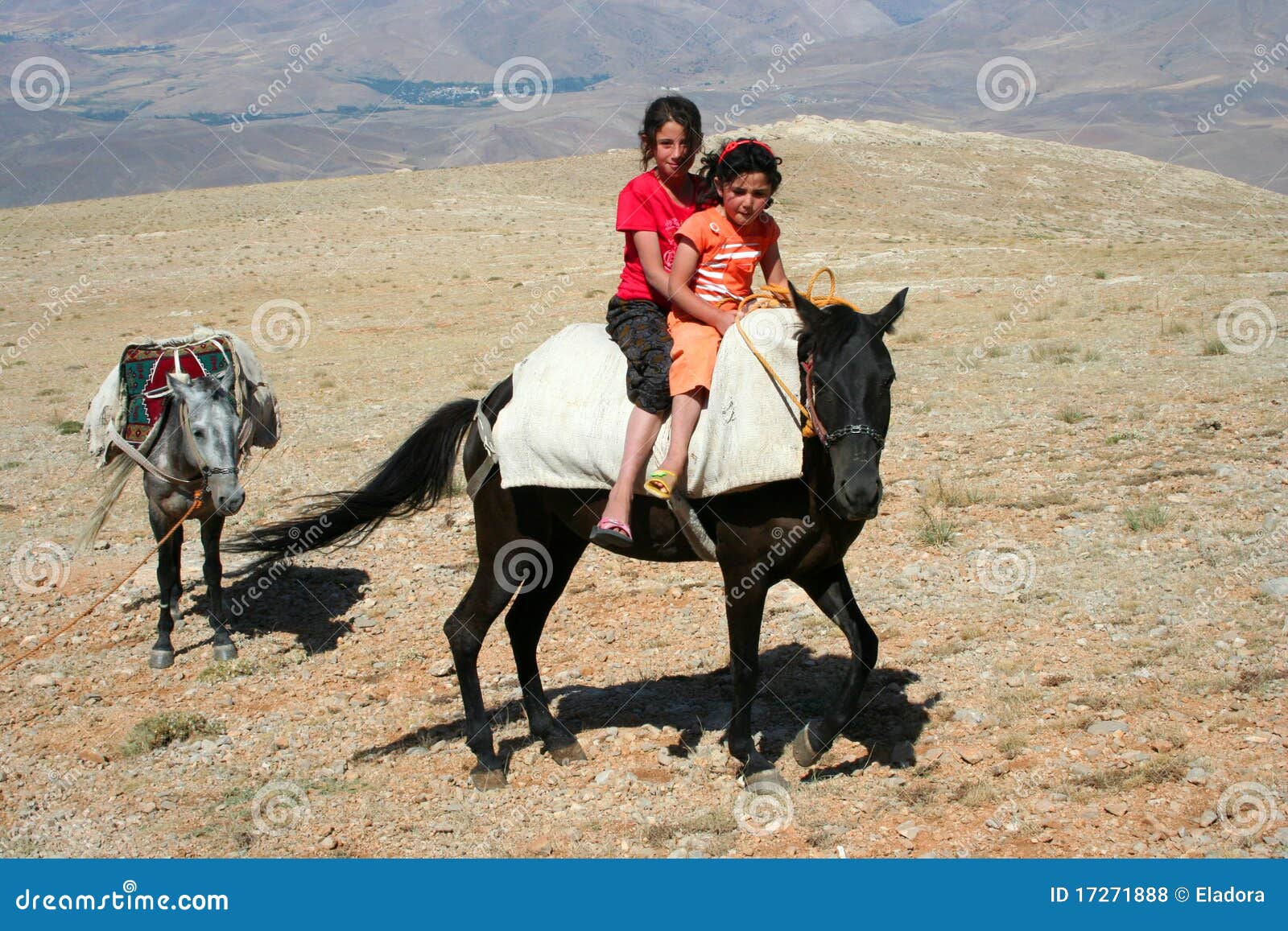 Two children on donkey stock photo. Image of summer, smile - 17271888