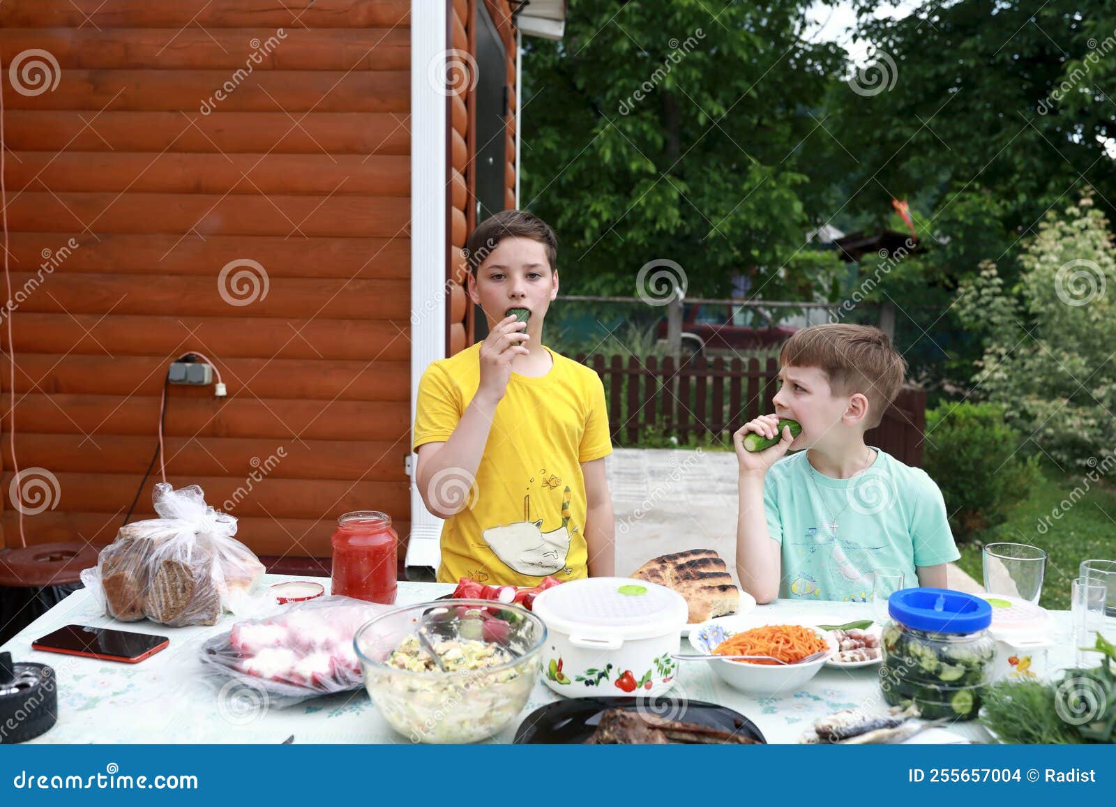 Two Children Eating Fresh Cucumbers Stock Photo - Image of male ...