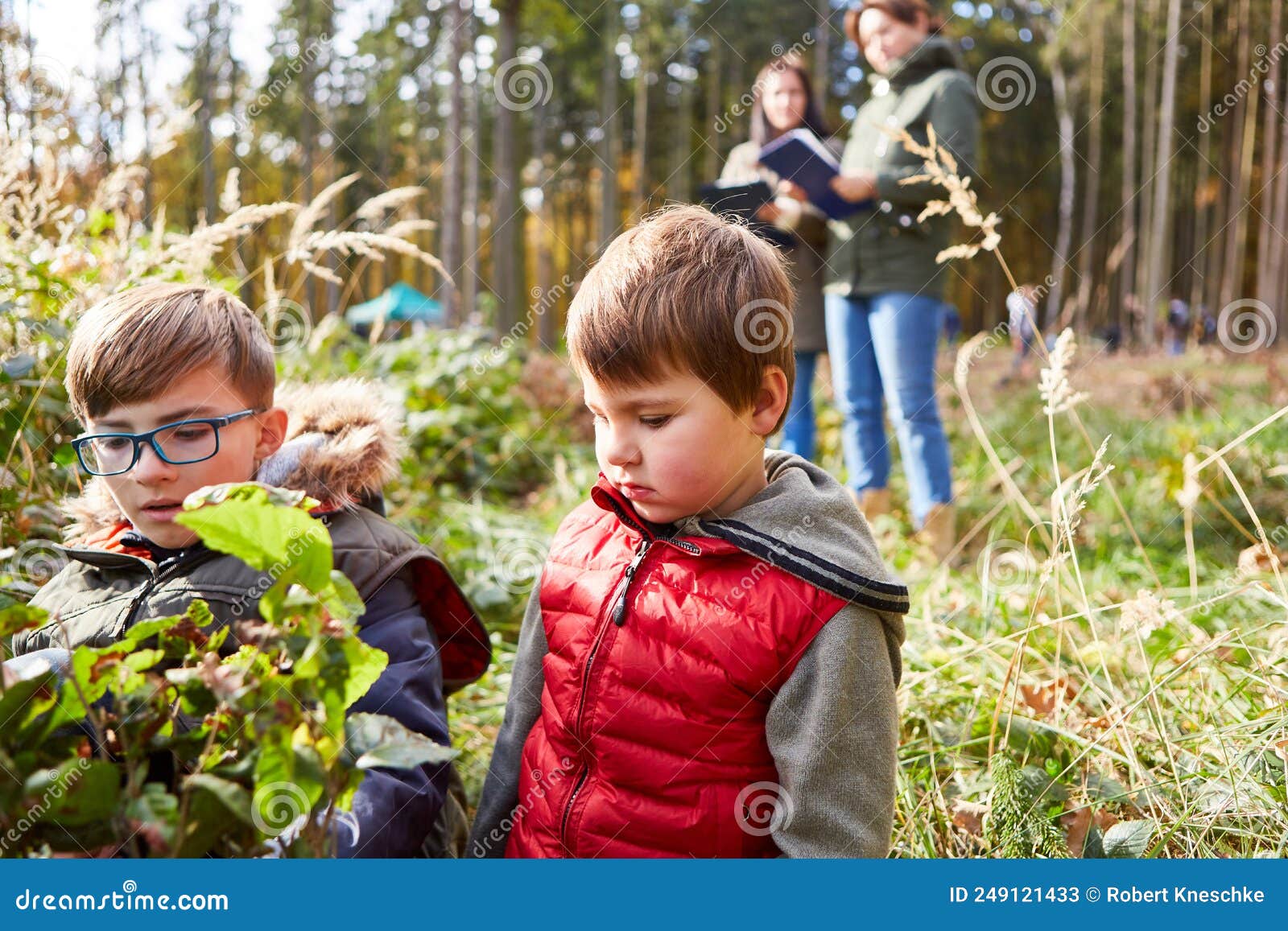 Two Children from the Forest Kindergarten Learning about Trees Stock ...