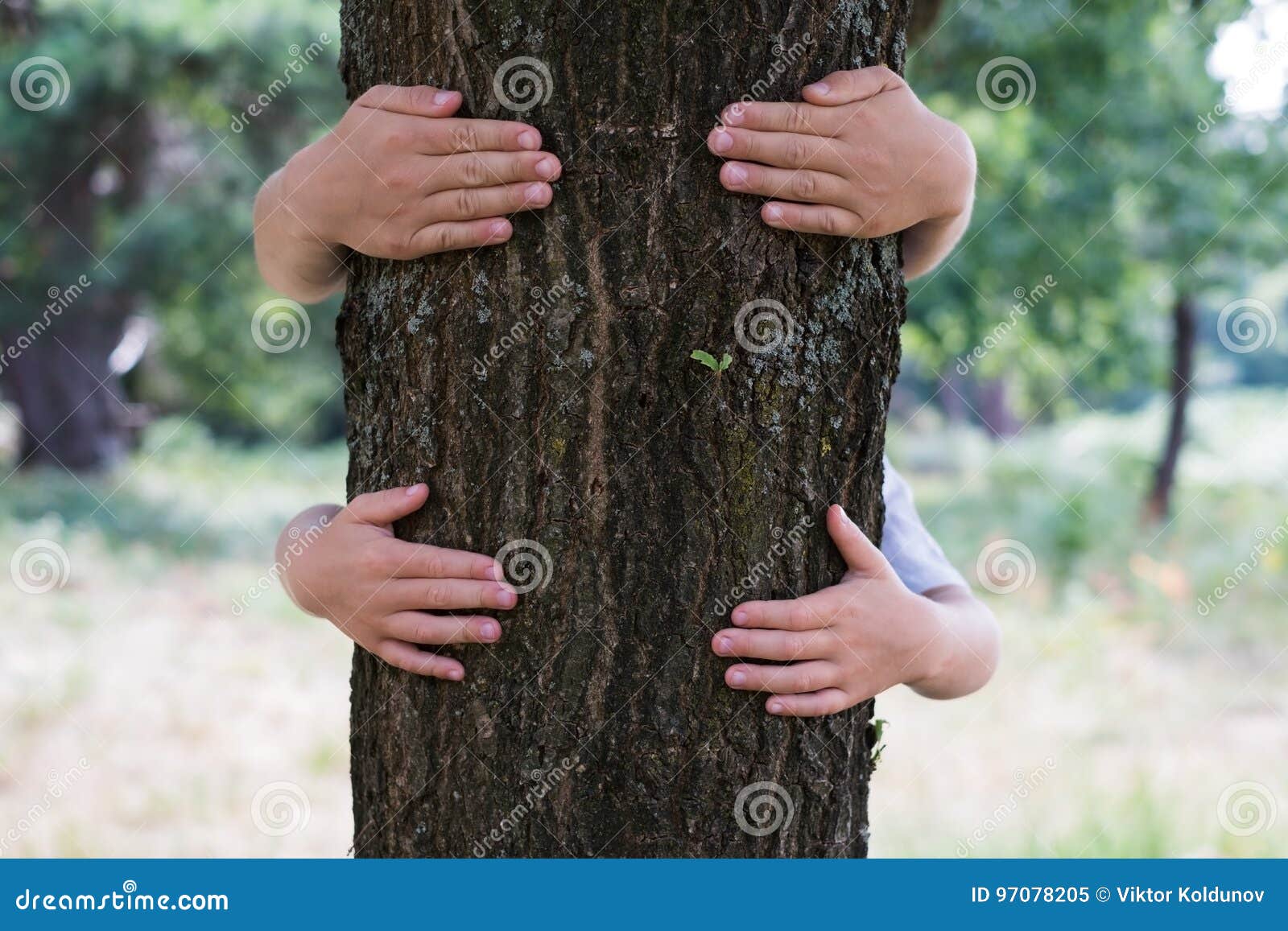 Two Children Hag or Embracing a Tree Trunk Stock Image - Image of hold ...
