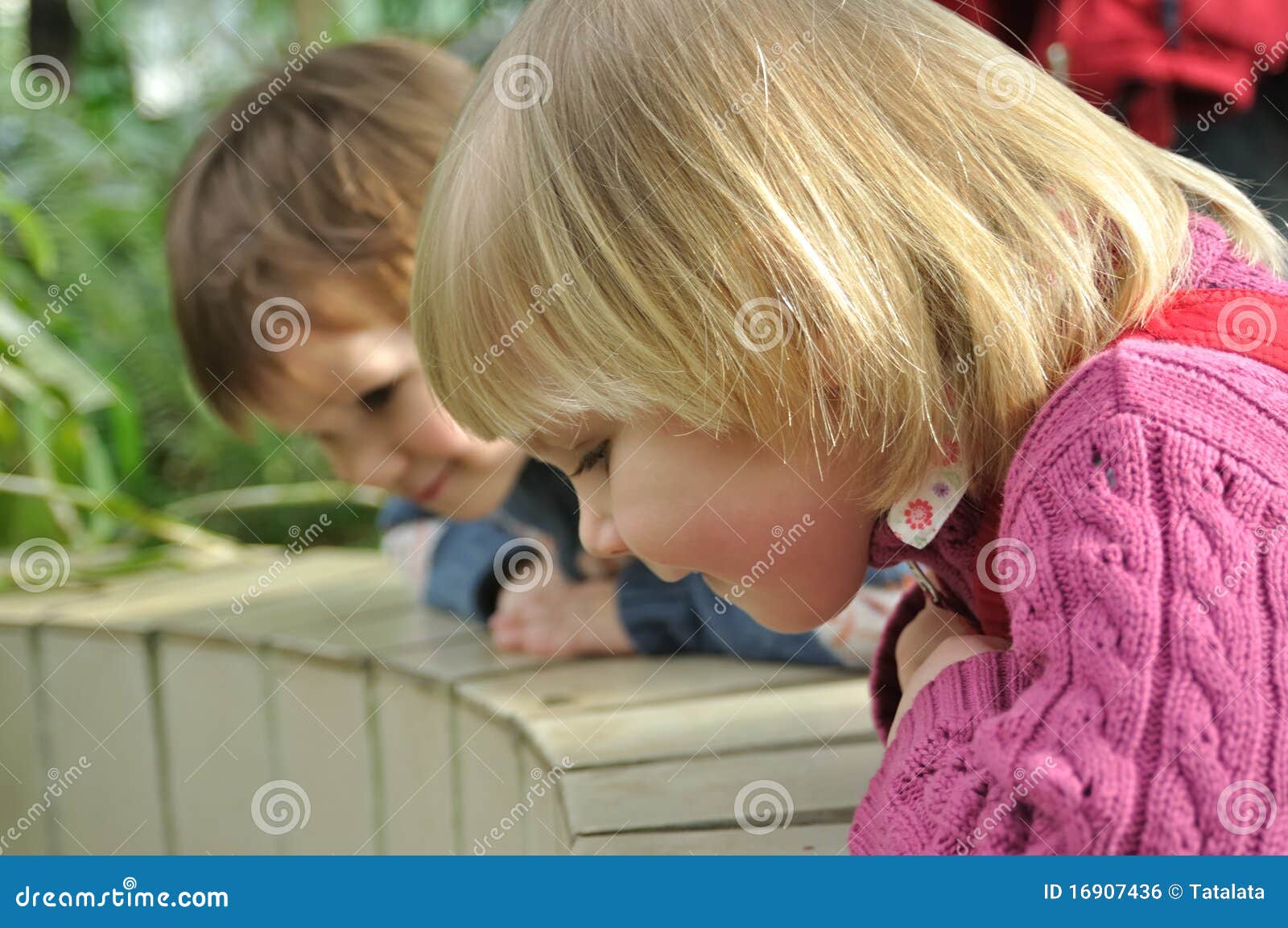 Two children looking down stock photo. Image of jacket - 16907436