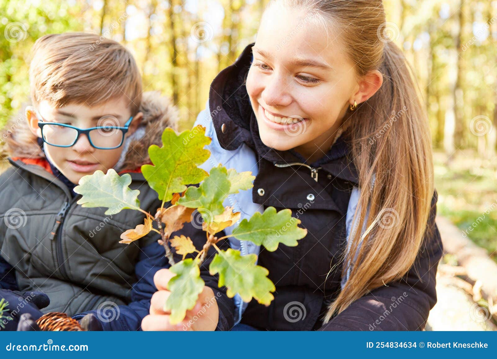 Two Children with an Oak Leaf Identifying a Tree Stock Photo - Image of ...