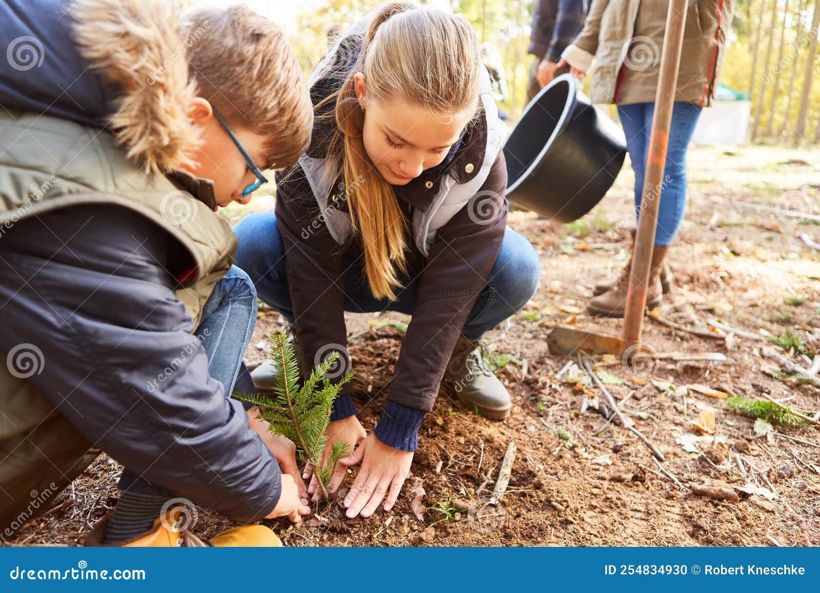 Two Children Plant a Tree in the Forest on Forest School Day Stock ...