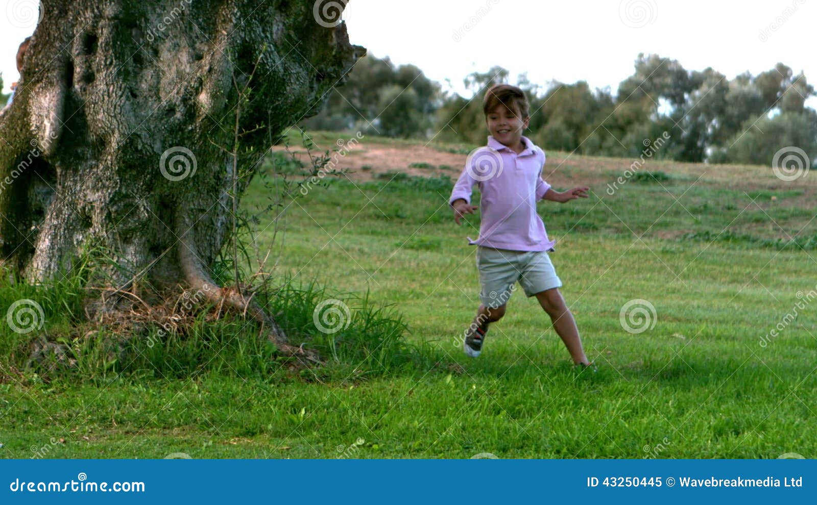 Two Children Running Around a Tree Playing Chasing Stock Video - Video ...
