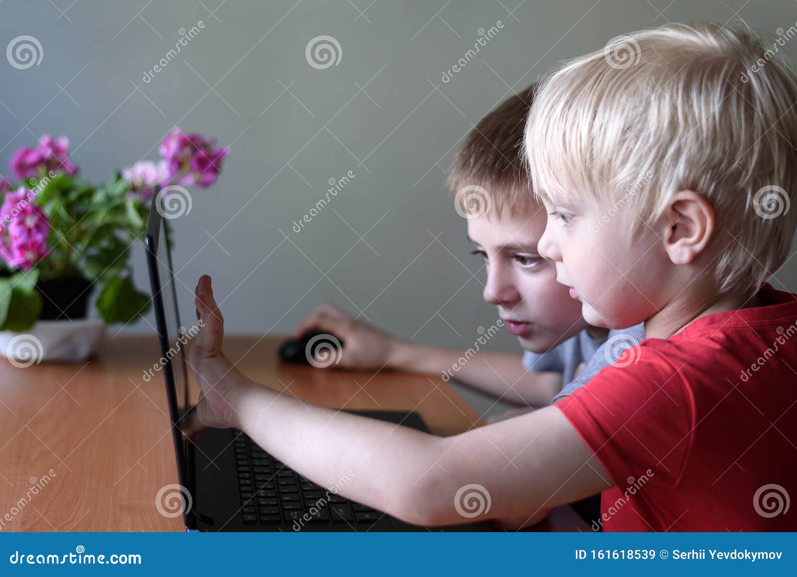 Two Children Use a Laptop. Home Schooling, Leisure Stock Image - Image ...