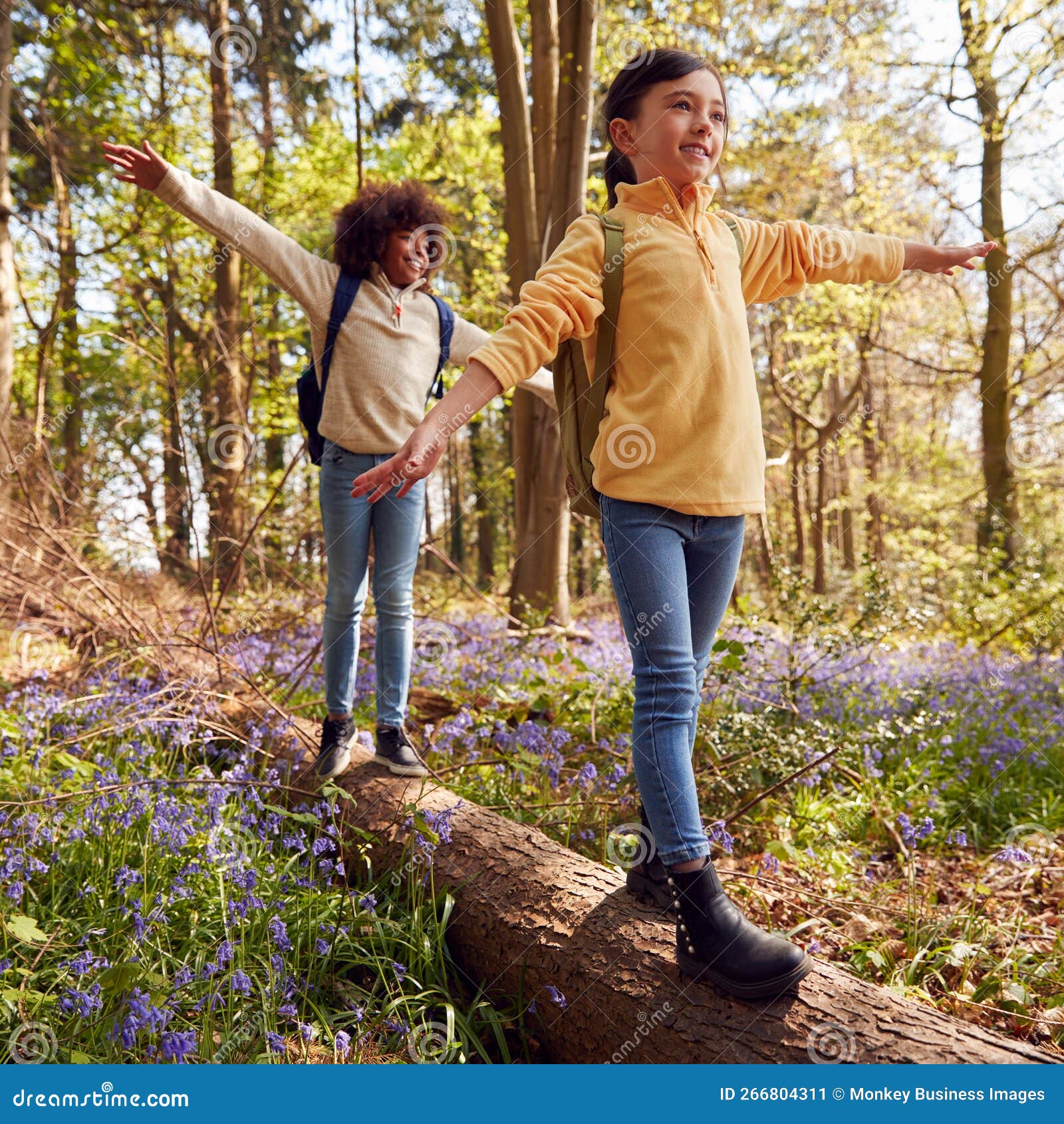 Two Children Walking through Bluebell Woods in Springtime Balancing on ...