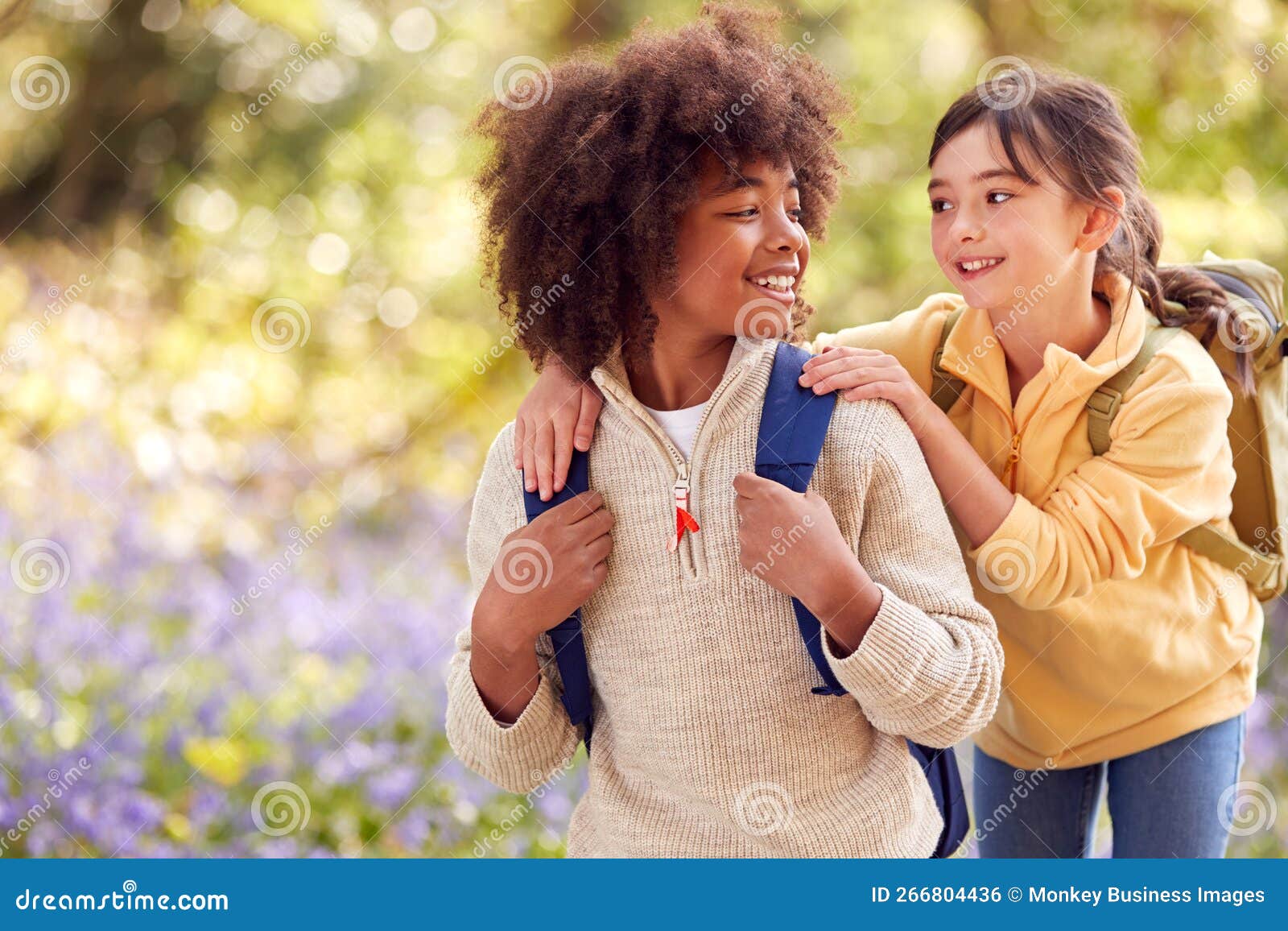 Two Children Walking through Bluebell Woods in Springtime Together ...