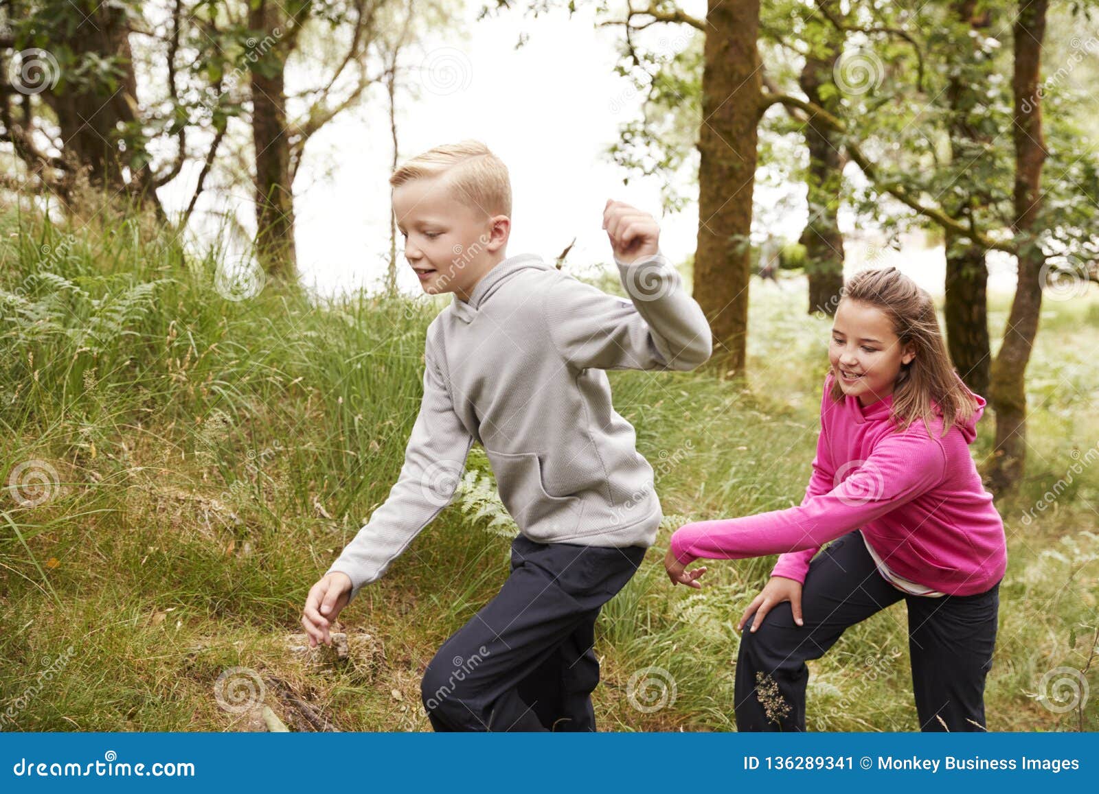 Two Children Walking Together through a Forest by Tall Grass, Side View ...